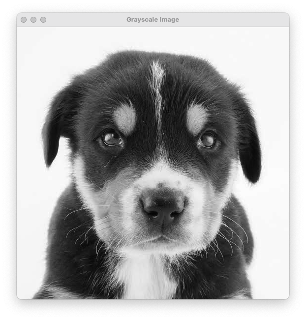 OpenCV：コンピュータービジョンを支える強力なツール | よくわかるpythonとエクセルVBA入門